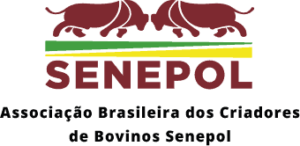 PROGRAMA DE MELHORAMENTO GENÉTICO DO SENEPOL - Senepol da Barra